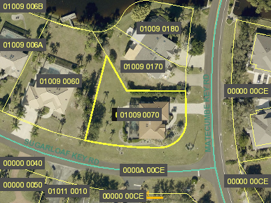 Online Parcel Inquiry | Lee County Property Appraiser