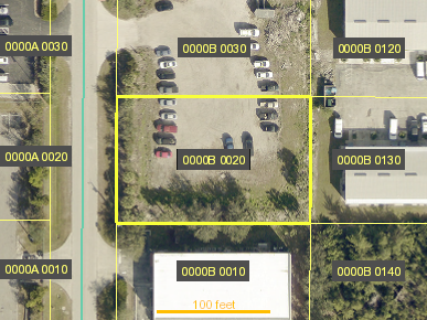 Online Parcel Inquiry | Lee County Property Appraiser