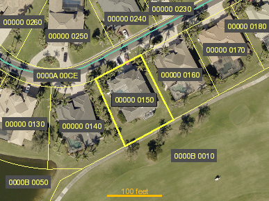 Online Parcel Inquiry | Lee County Property Appraiser