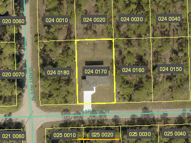 Online Parcel Inquiry | Lee County Property Appraiser