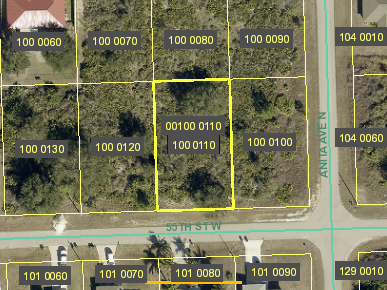 Online Parcel Inquiry | Lee County Property Appraiser