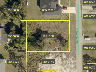 Online Parcel Inquiry | Lee County Property Appraiser