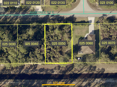Online Parcel Inquiry | Lee County Property Appraiser