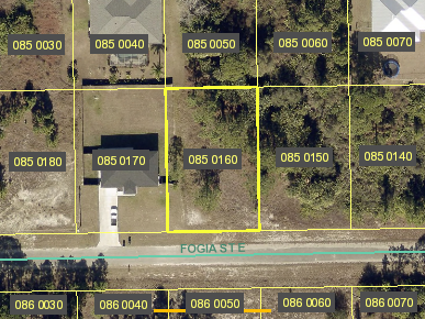Online Parcel Inquiry | Lee County Property Appraiser